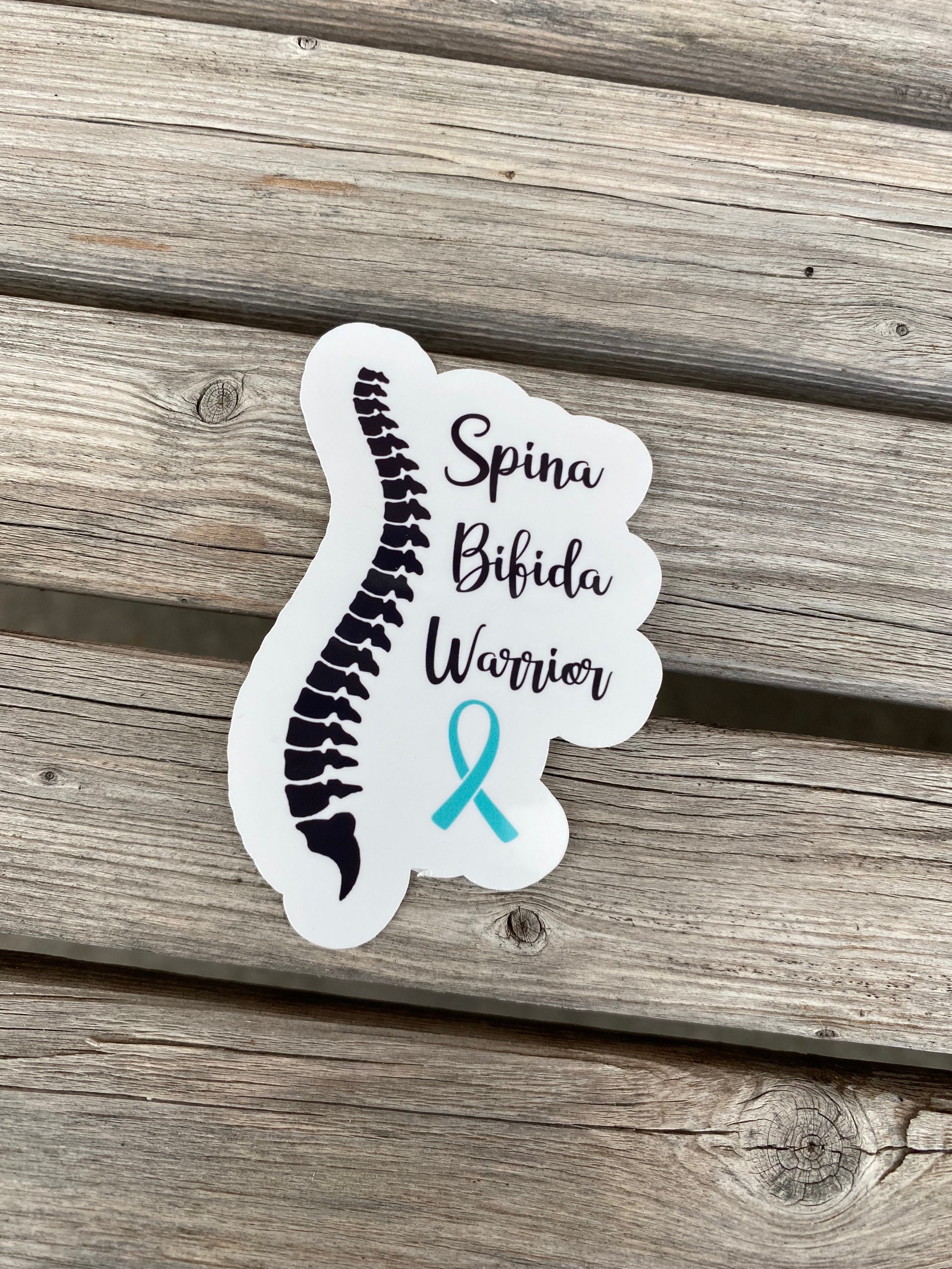 Spina Bifida Warrior Sticker Spinal Cord Sticker With Teal - Etsy