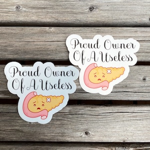 Proud Owner of A Useless Pancreas Sticker| Sad Face Pancreas Sticker ...
