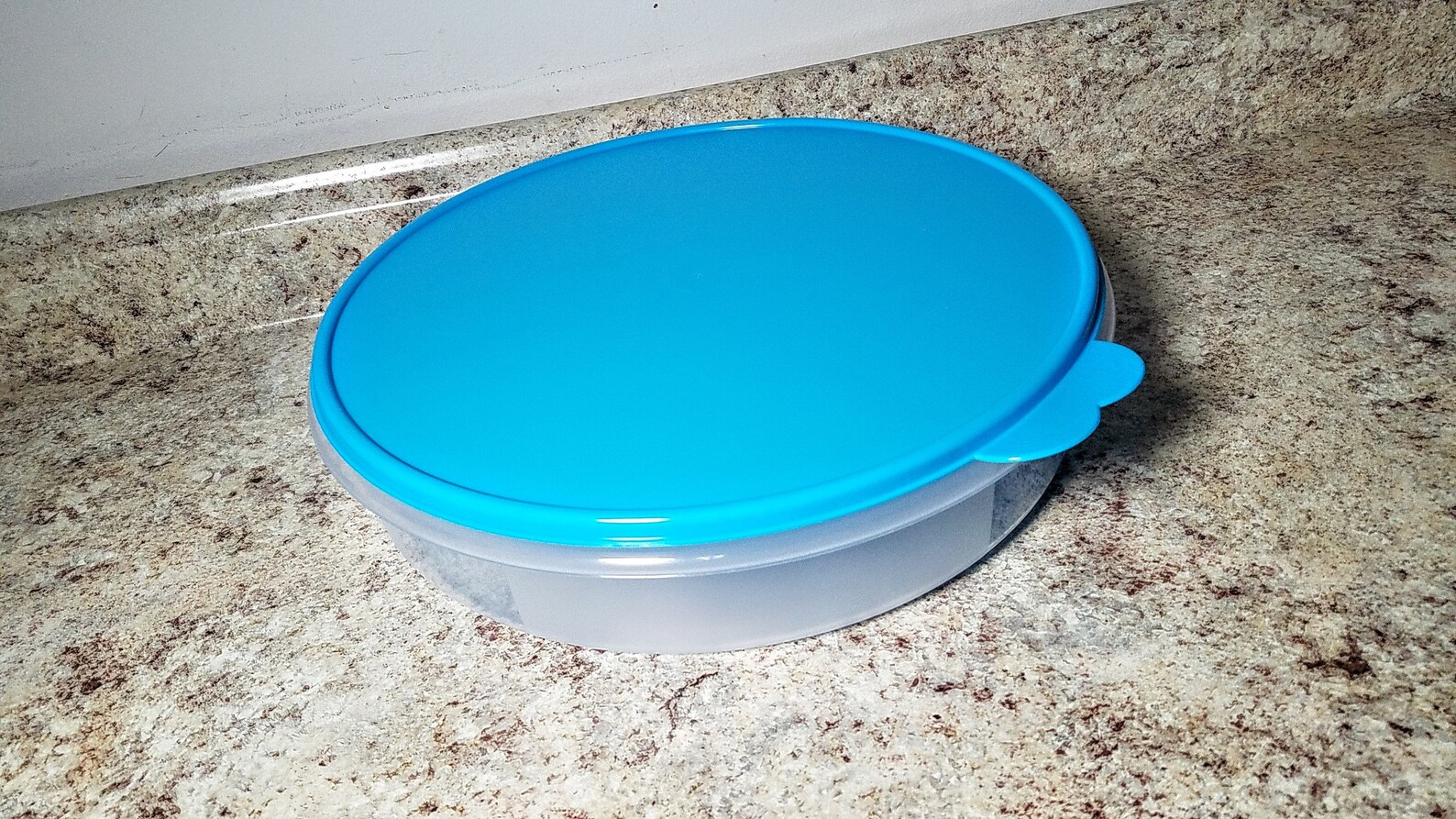 Tupperware 12 Round Pie Cookies Cupcake & Pizza | Etsy