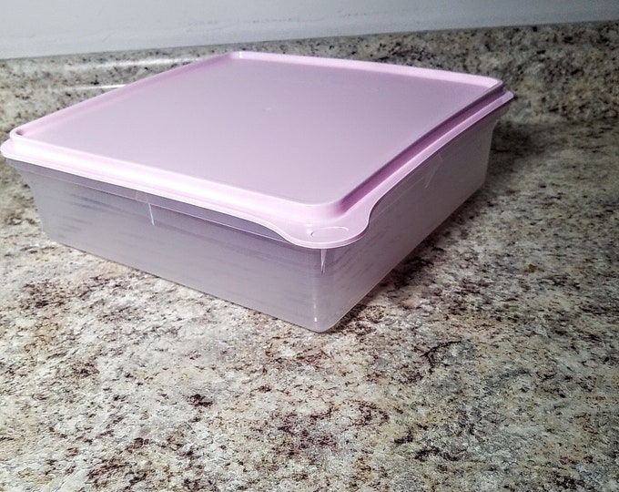 Tupperware 9 Inch SQUARE SNACK STOR Store Container Clear Container ...