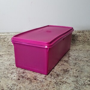 New Tupperware Jumbo Bread Server Keeper Storage Container - Etsy