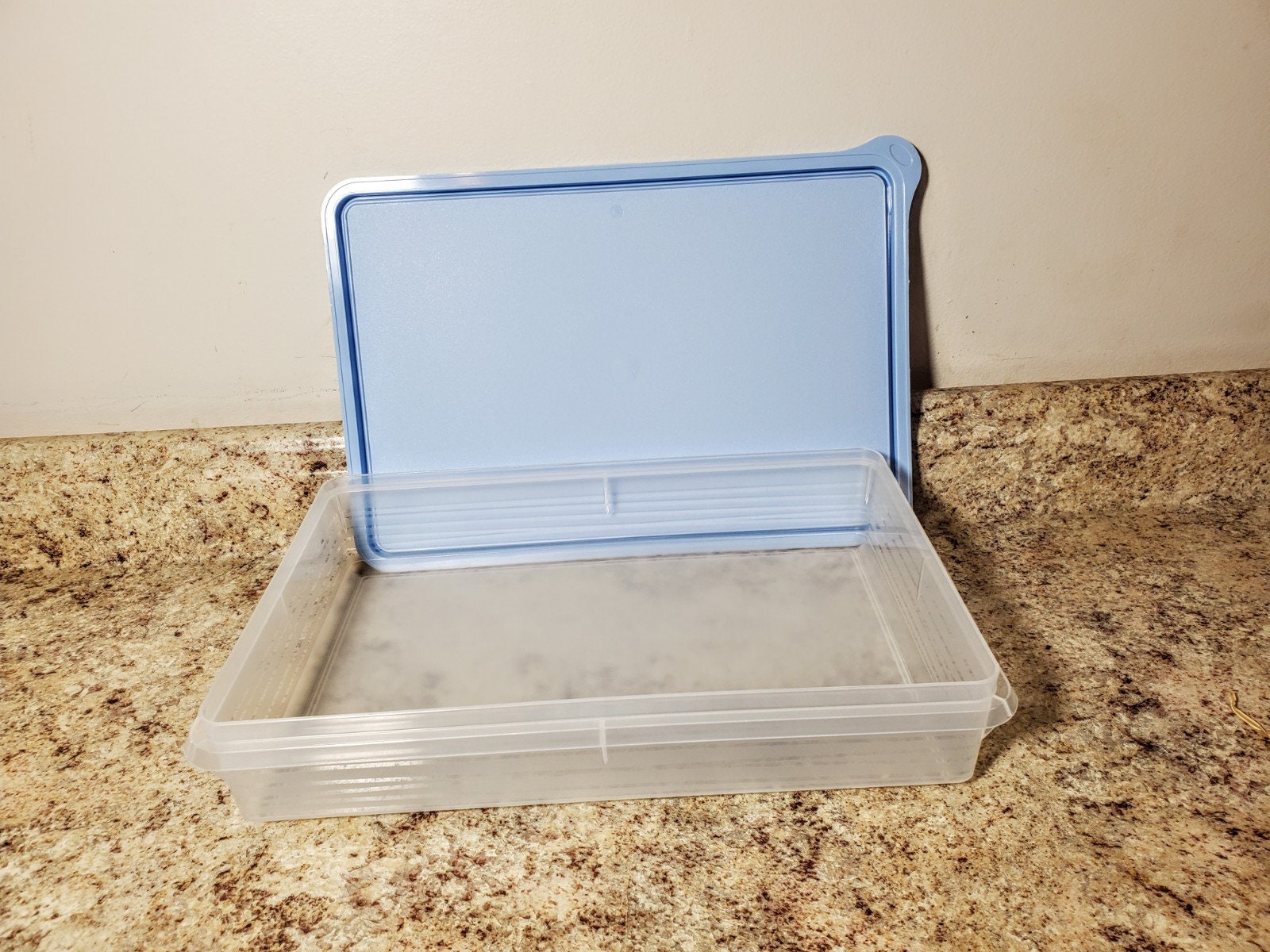 TUPPERWARE Cold Cut Keeper Snack Stor Large 9x13 Ice Cube Blue Seal ...
