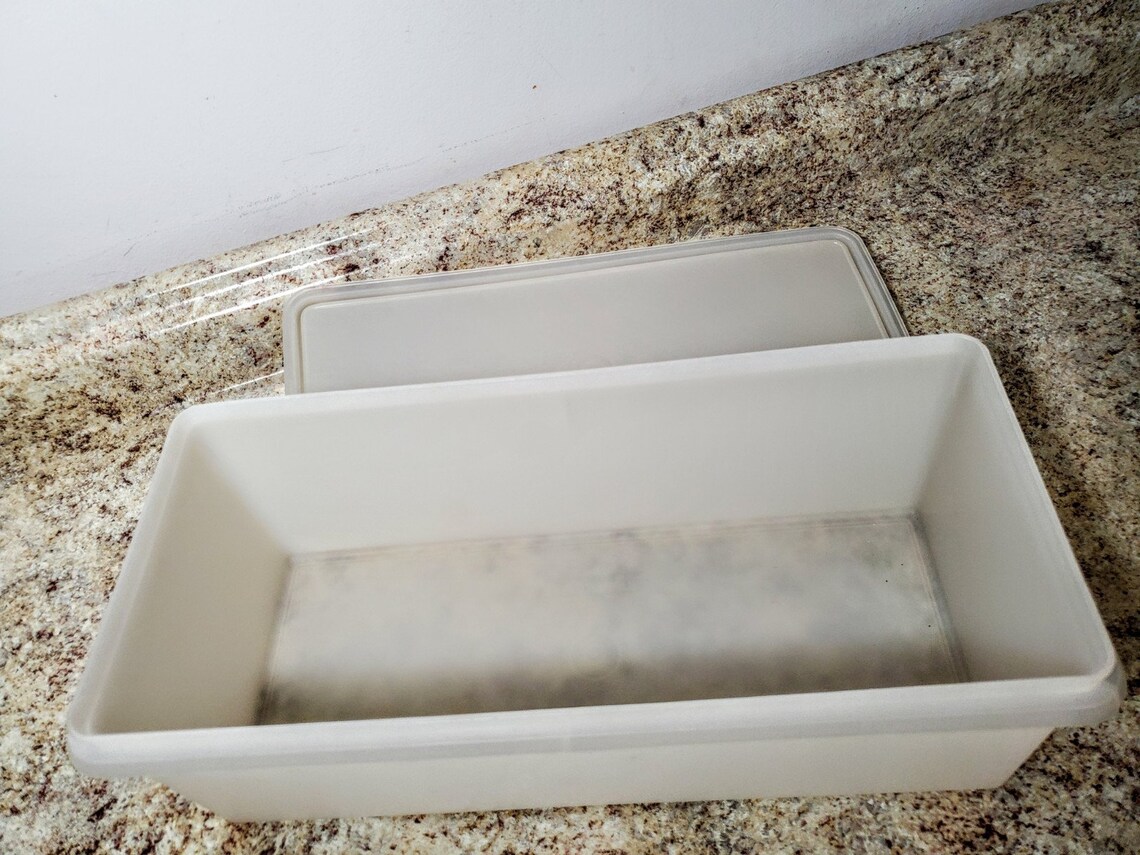 Tupperware 606 Frosted Large Jumbo Bread Keeper Container With - Etsy
