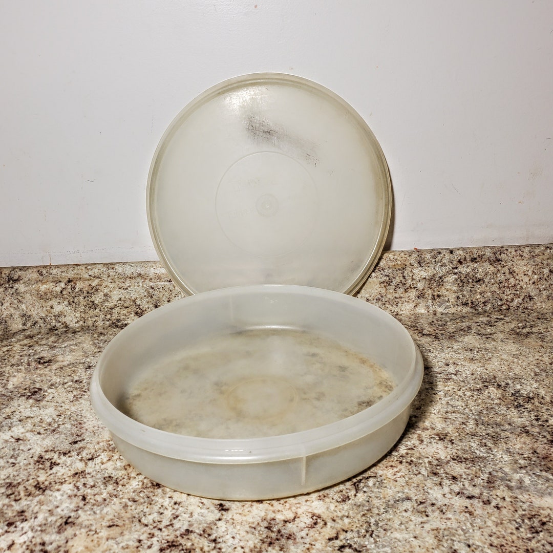 Tupperware 12 Round Cupcake Pie Taker Storage Container 242 - Etsy
