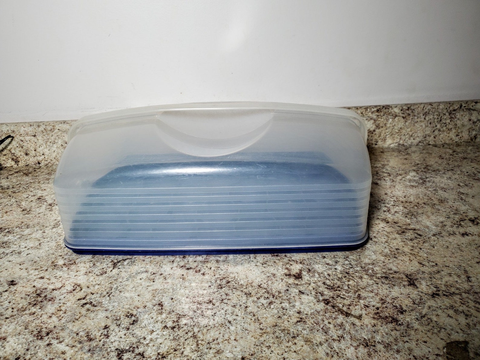 Tupperware Rectangle Bake N Take Cake Cupcake Taker Carrier Blue Clear ...