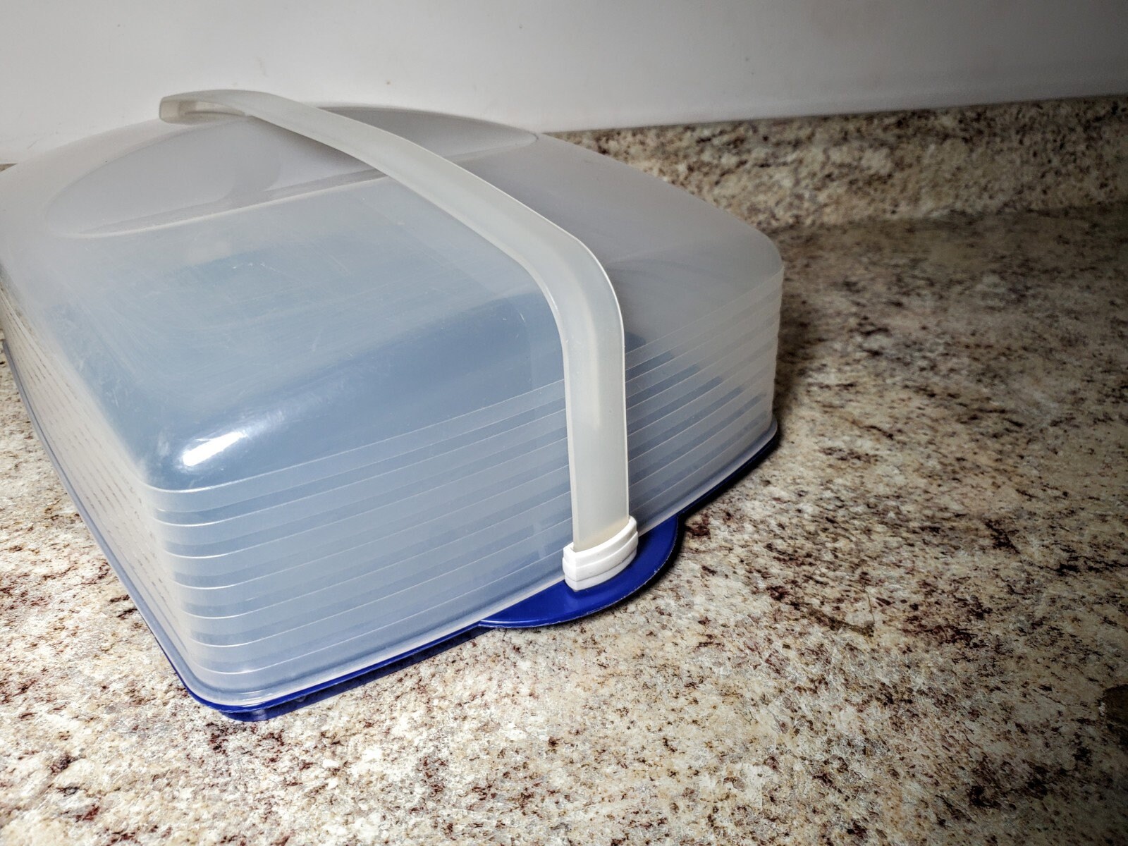 Tupperware Rectangle Bake N Take Cake Cupcake Taker Carrier Blue Clear ...