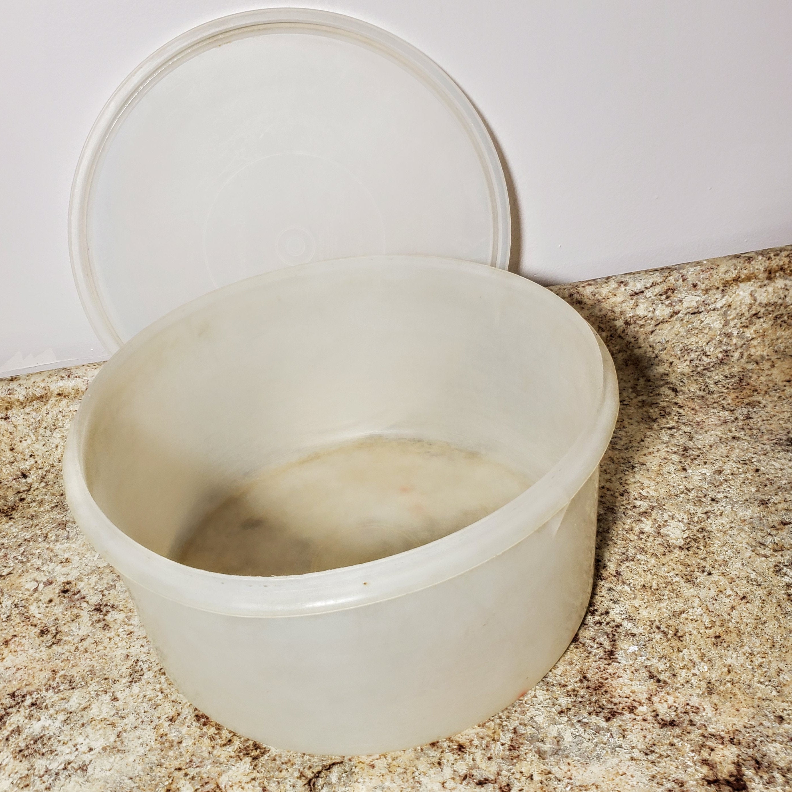 AS IS Tupperware 256 Cake Pie Carry All Round Container 32 Cup 12 Round ...