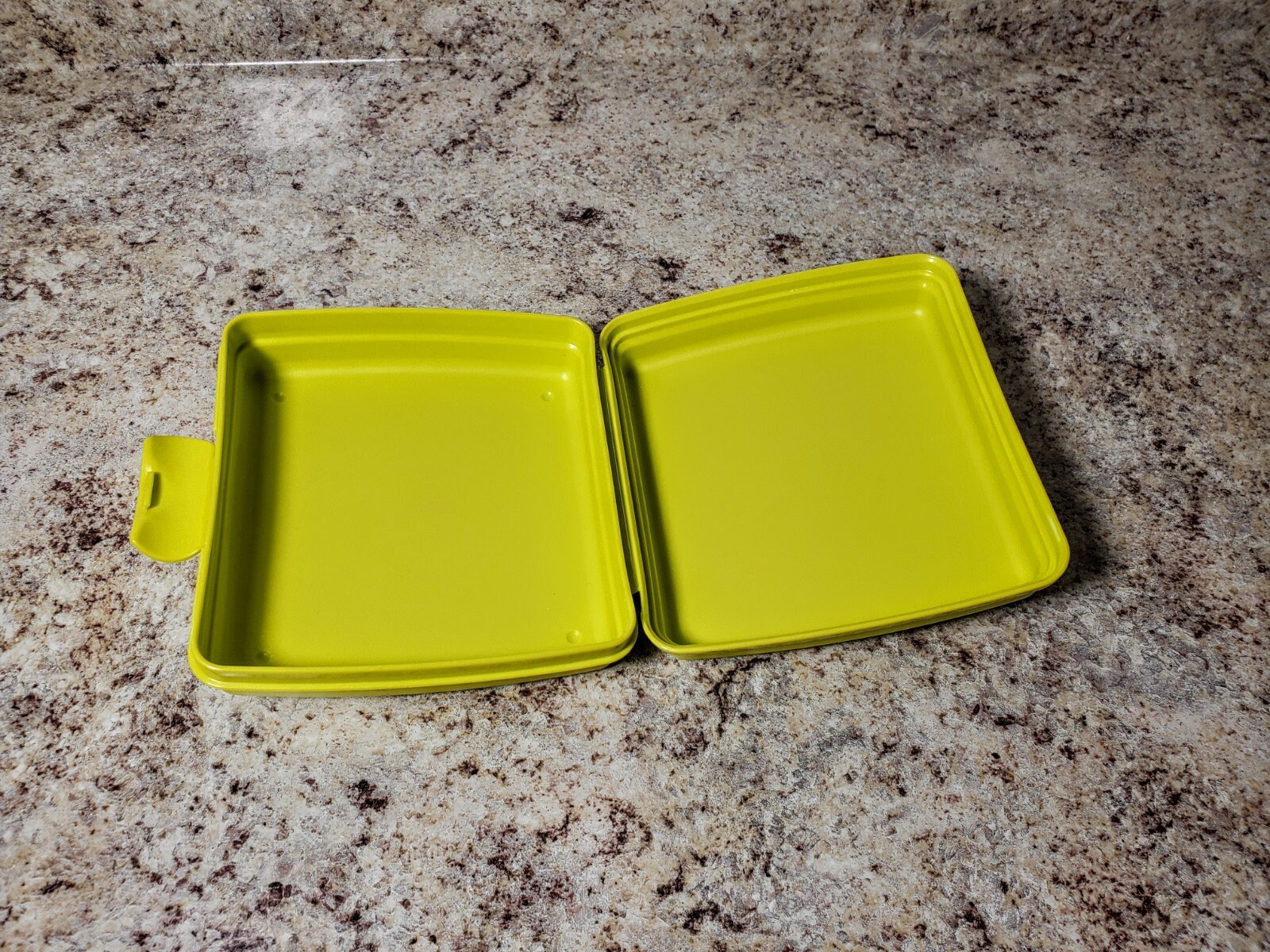 Tupperware Square Vera Dora Jungle Safari Sandwich Bagel Fruit Keeper ...