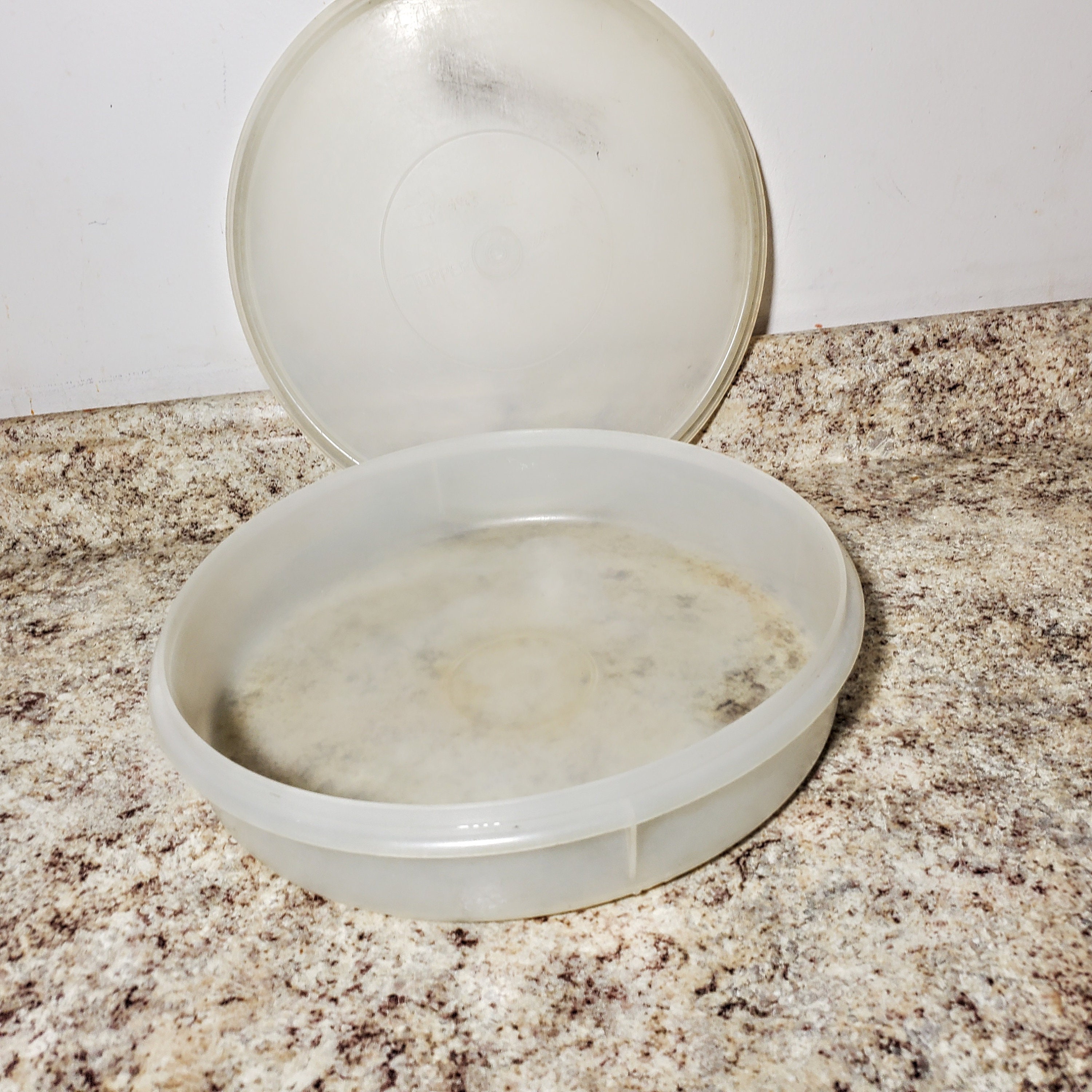 Tupperware 12 Round Cupcake Pie Taker Storage Container 242 - Etsy