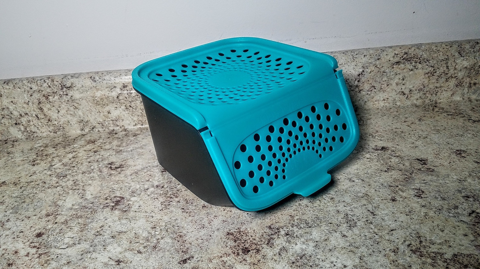 Tupperware Onion & Garlic Smart Container 2.3L Garlic N All Potato ...