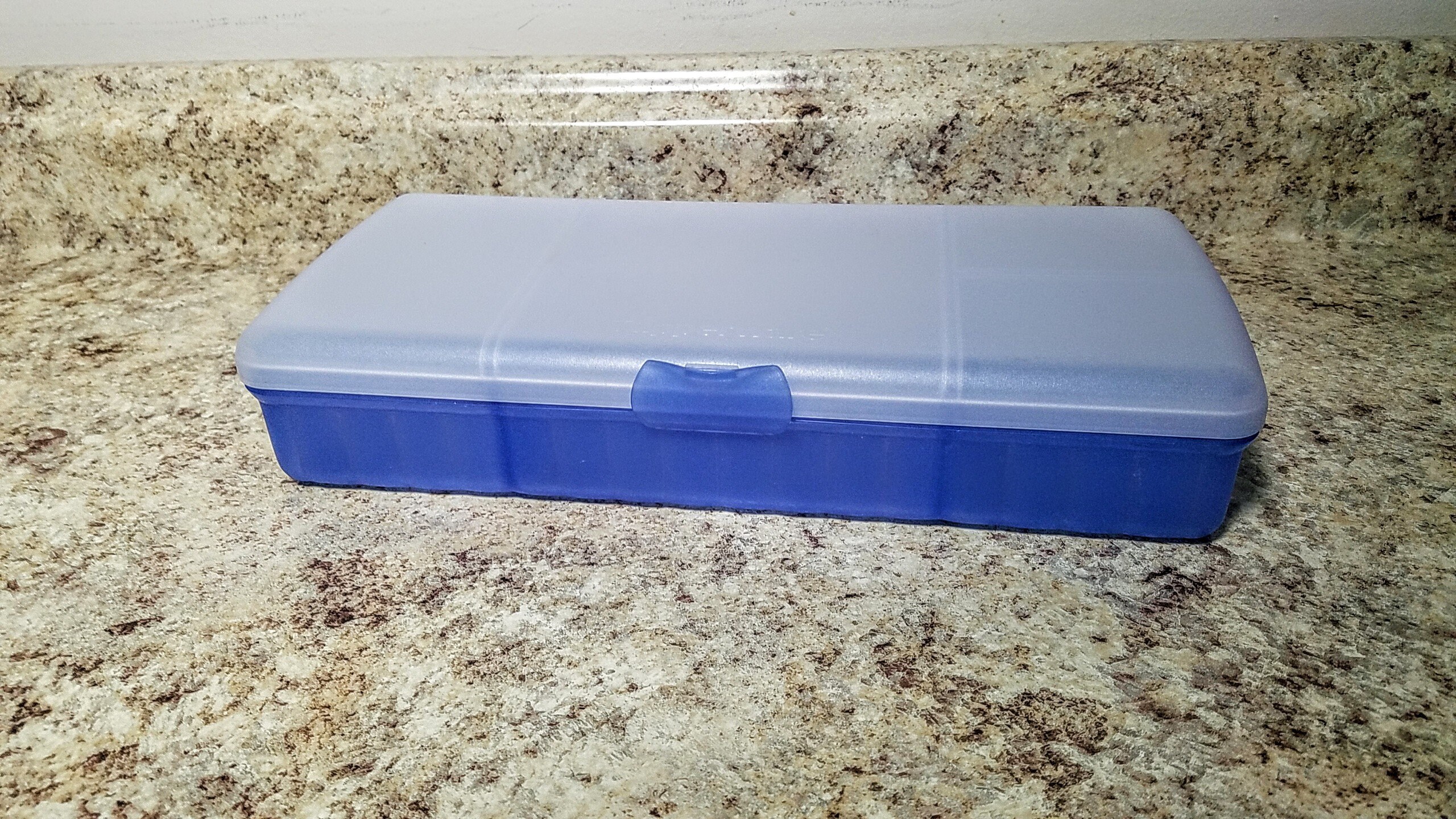 Tupperware Lunch N Things Divided Container Craft Storage - Etsy Canada