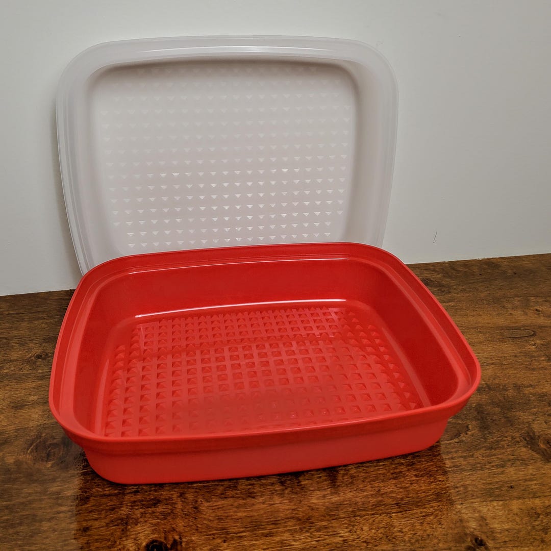 Tupperware Season-serve Marinade Container Large Passion Red New BBQ ...
