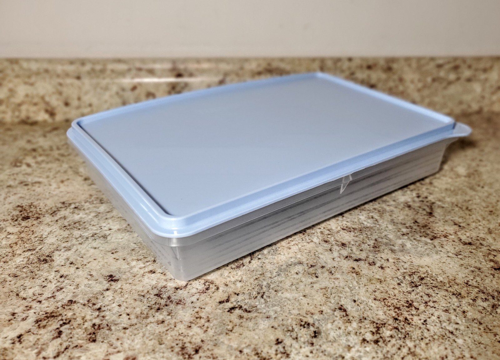 TUPPERWARE Cold Cut Keeper Snack Stor Large 9x13 Ice Cube Blue Seal ...