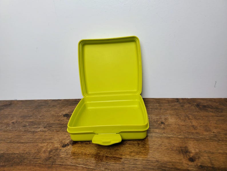 Buy Tupperware Vera Dora Jungle Safari Square Sandwich Fruit Bagel ...