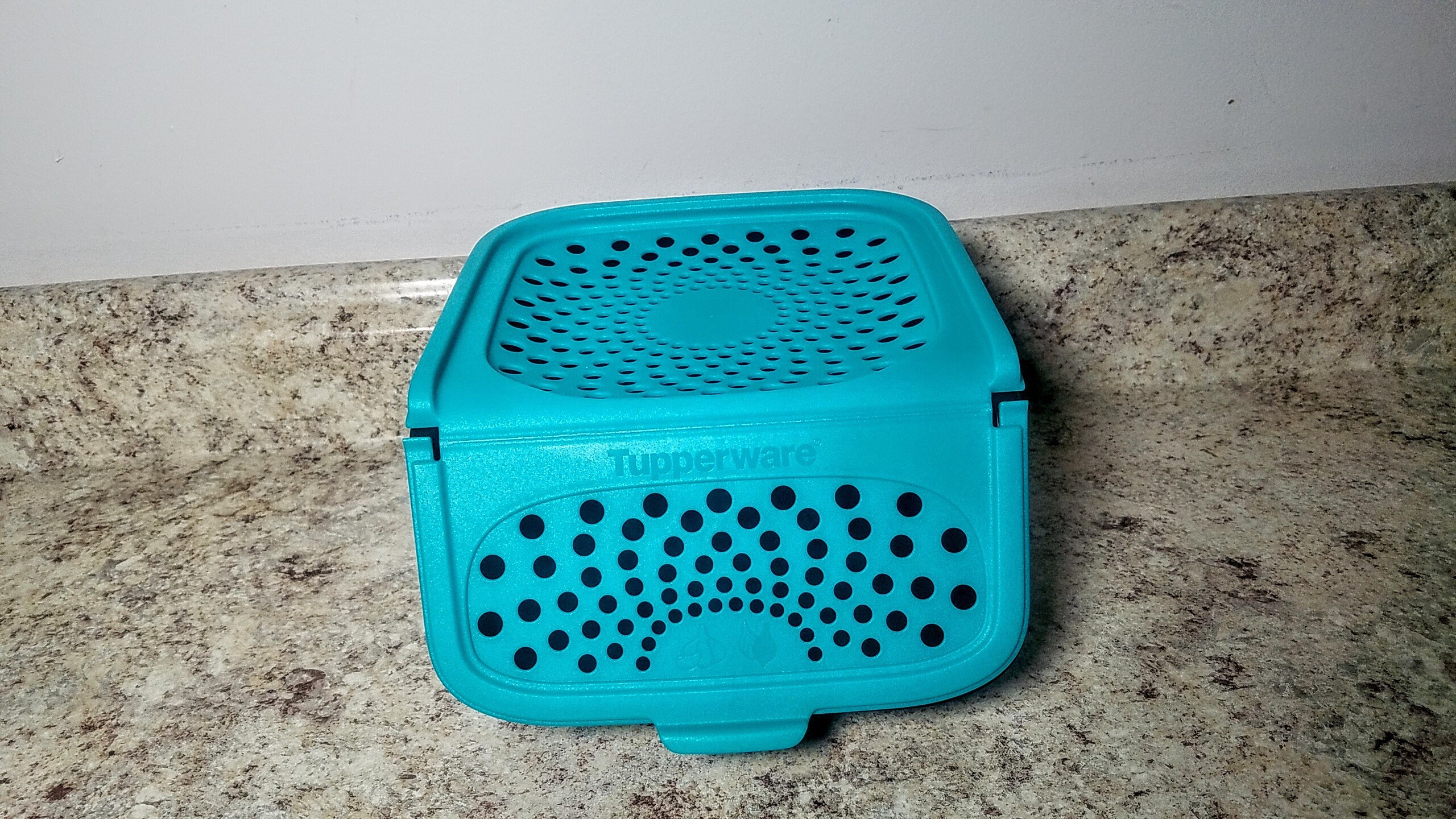 Tupperware Onion & Garlic Smart Container 2.3L Garlic N All Potato ...