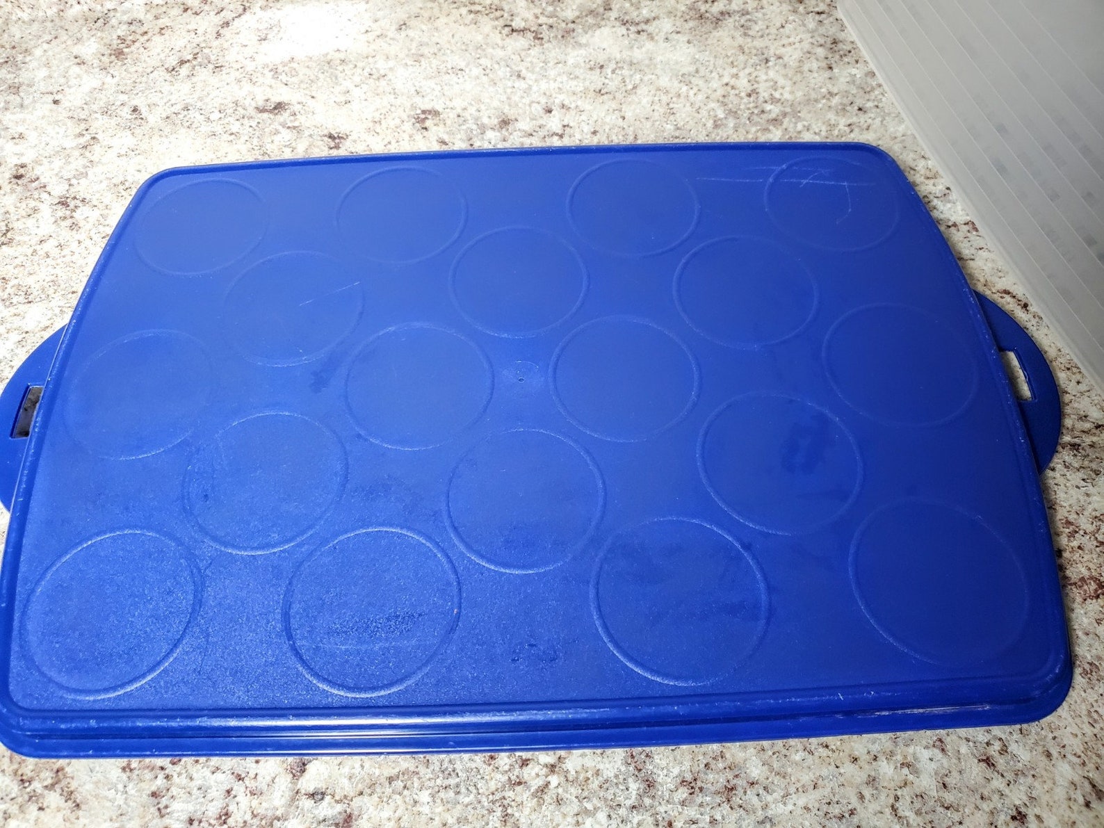 Tupperware Rectangle Bake N Take Cake Cupcake Taker Carrier Blue Clear ...