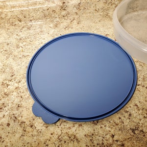 Tupperware 12 Round Pie Cookies Cupcake & Pizza Container Blue Seal New ...