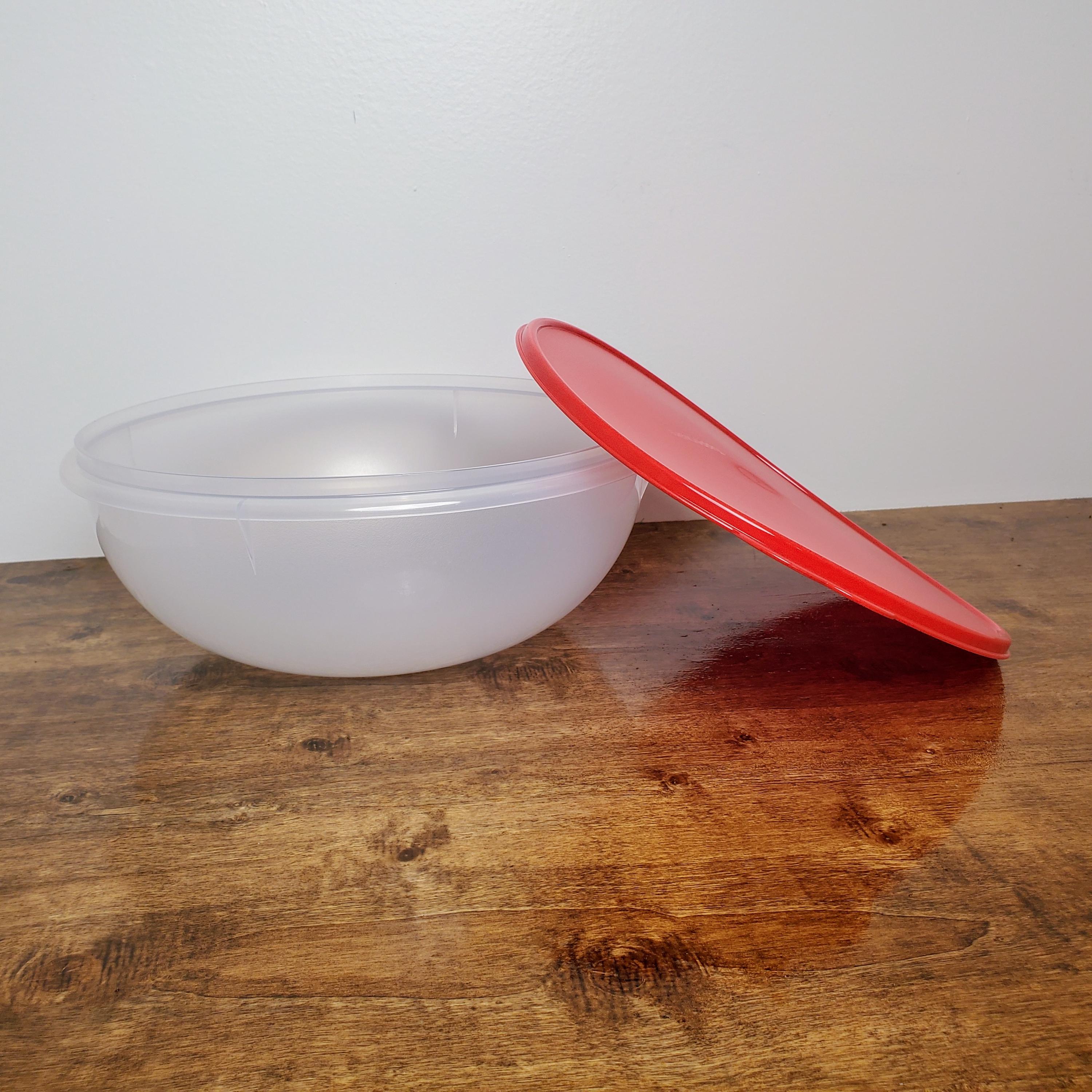 Clear Plastic Mixing Bowls