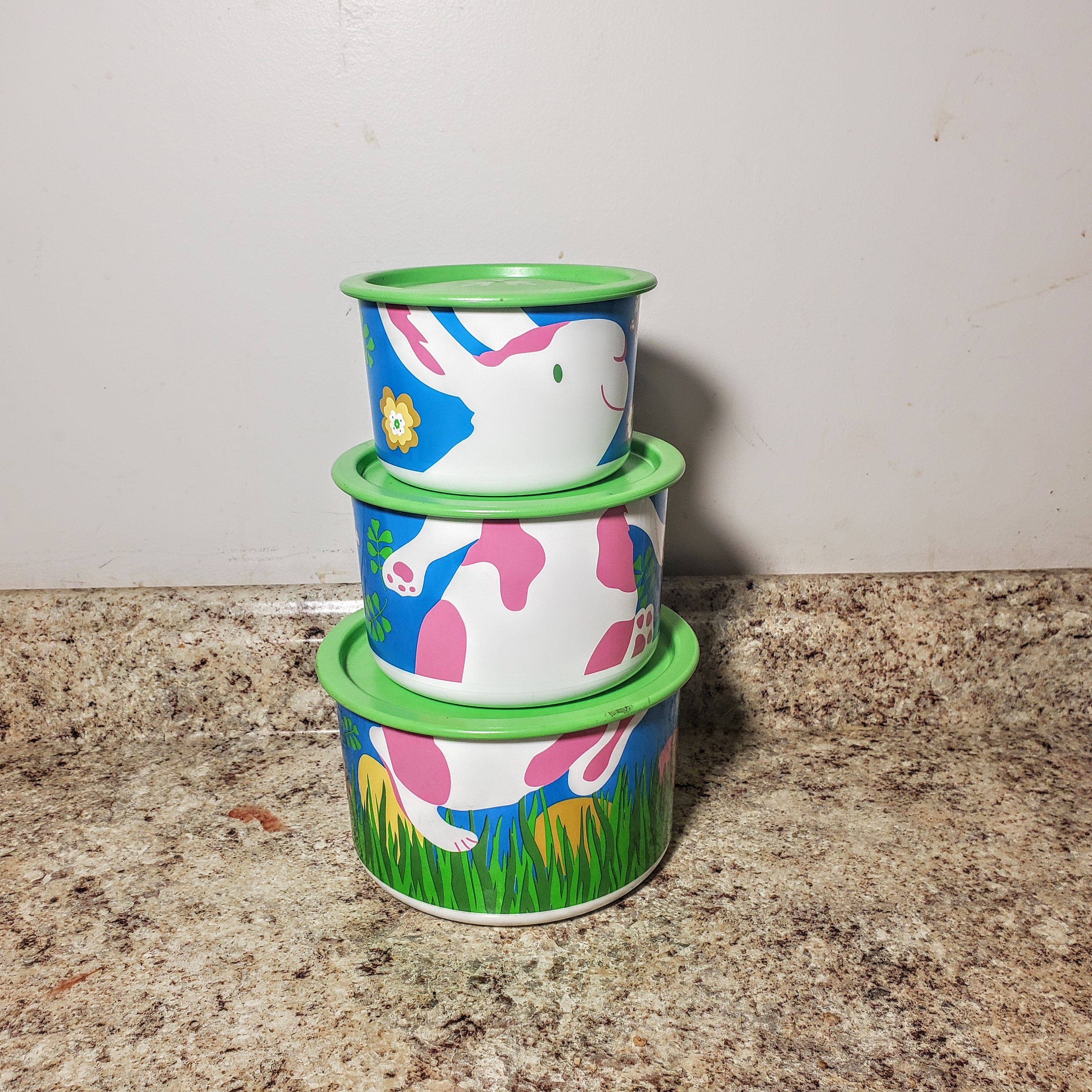 Tupperware One Touch Spring Easter Duck Bunny Rabbit 2709 2708 Seal Lid ...