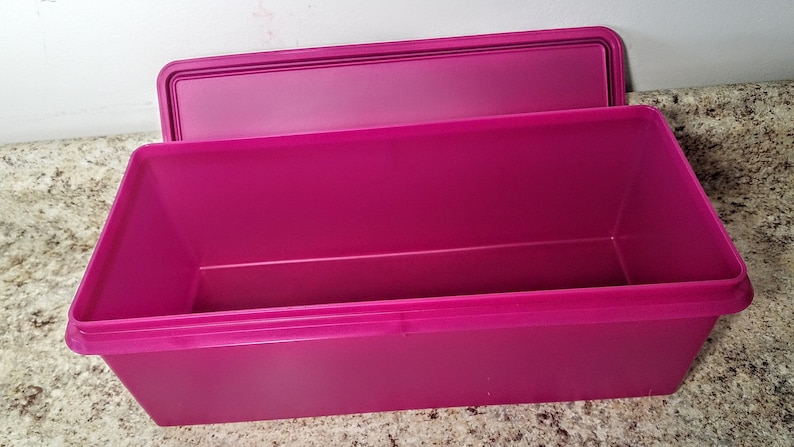 New Tupperware Jumbo Bread Server Keeper Storage Container - Etsy