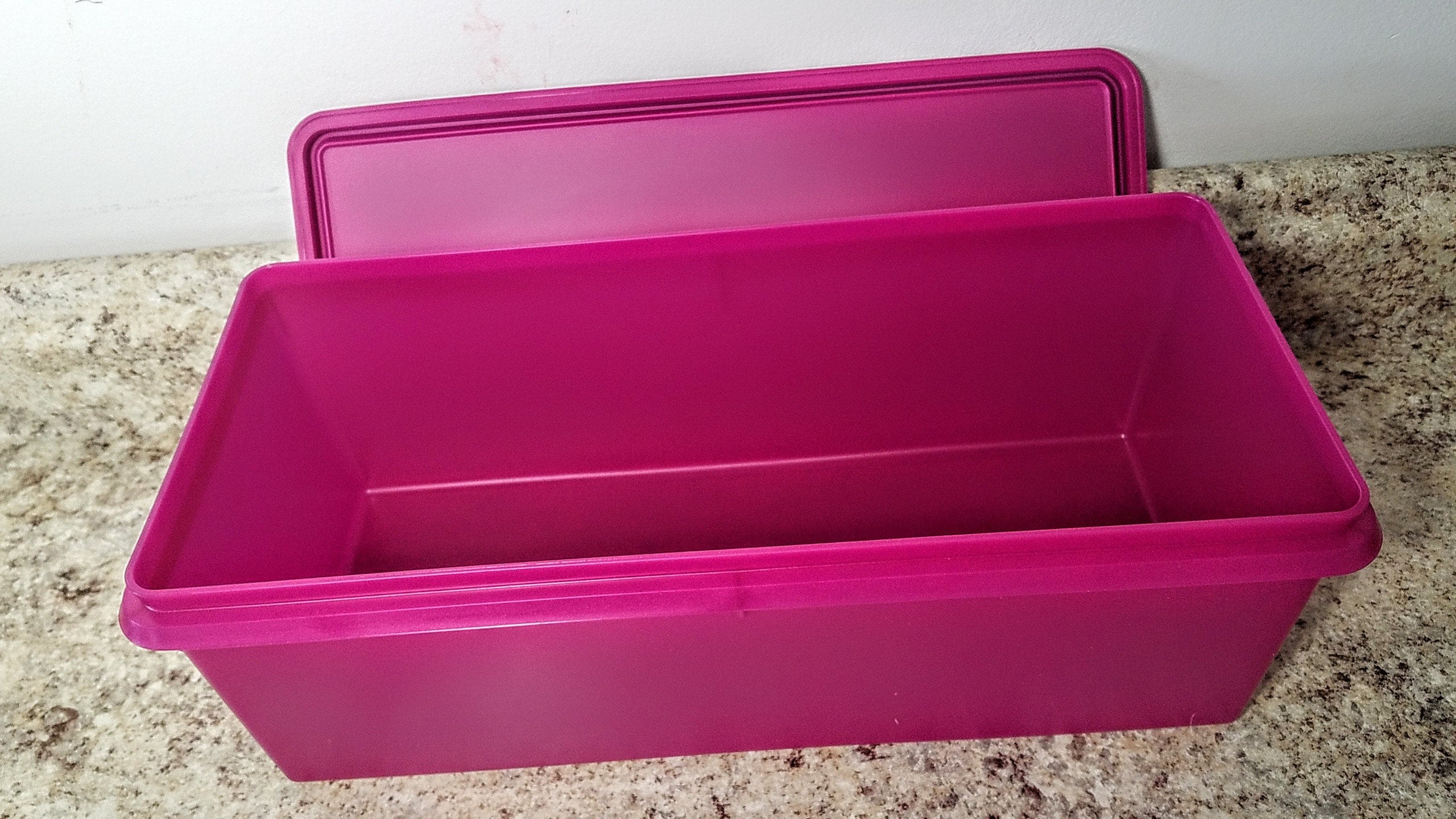 New Tupperware Jumbo Bread Server Keeper Storage Container - Etsy Canada