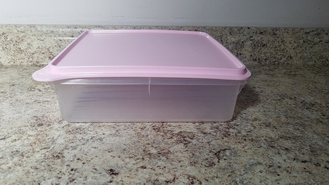 Tupperware 9 Inch SQUARE SNACK STOR Store Container Clear - Etsy