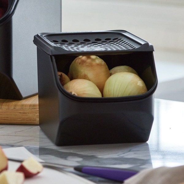 Tupperware Potato Smart Container - Etsy