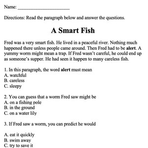 1st 2nd 3rd 4th Grade Reading Comprehension Passages & | Etsy