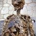 Mumified Skeleton Corpse - 5 Ft, LED Eyes, Posable (made to Order) - Etsy