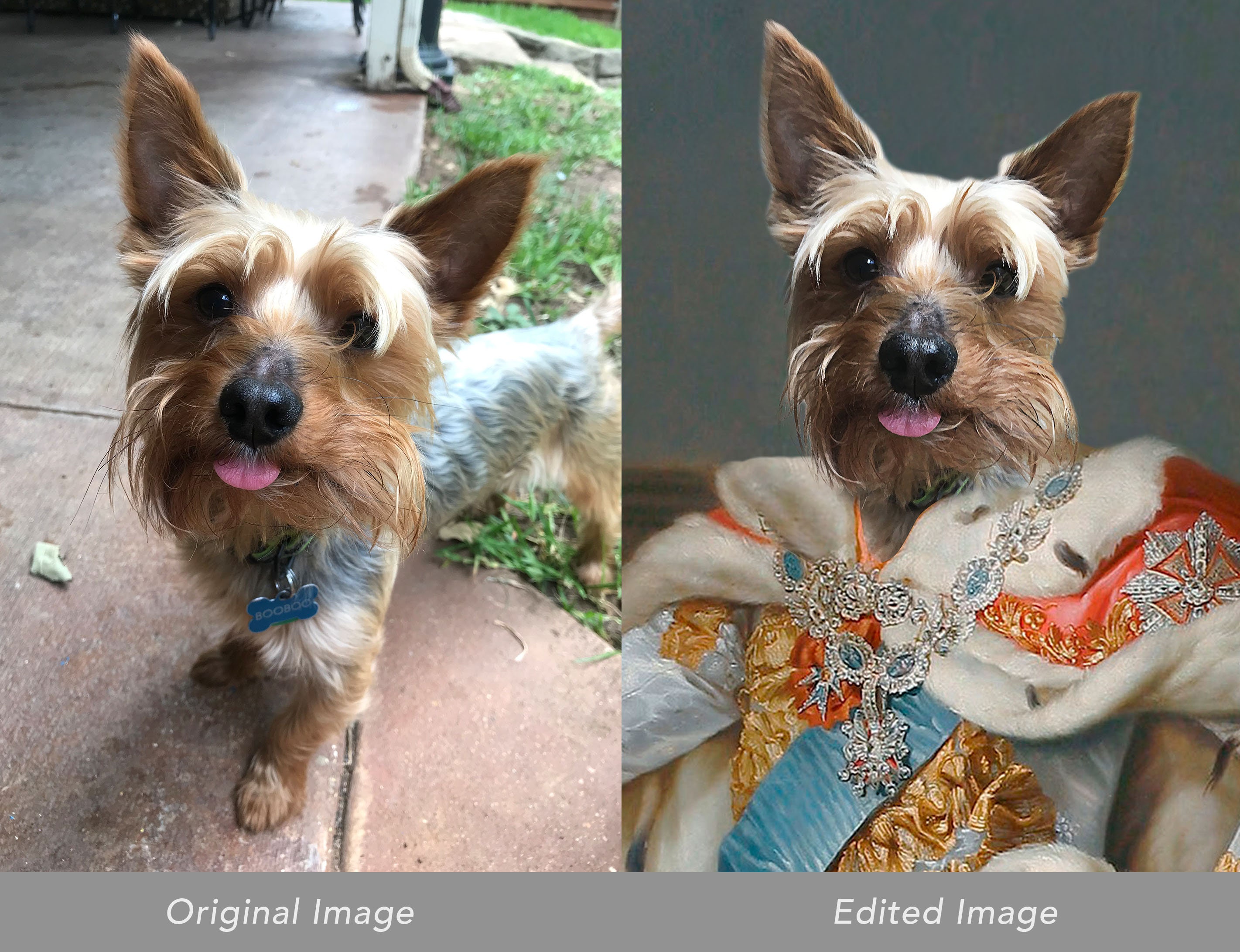 Fancy King: Customizable Portrait for Pets, Friends and Celebrities. - Etsy