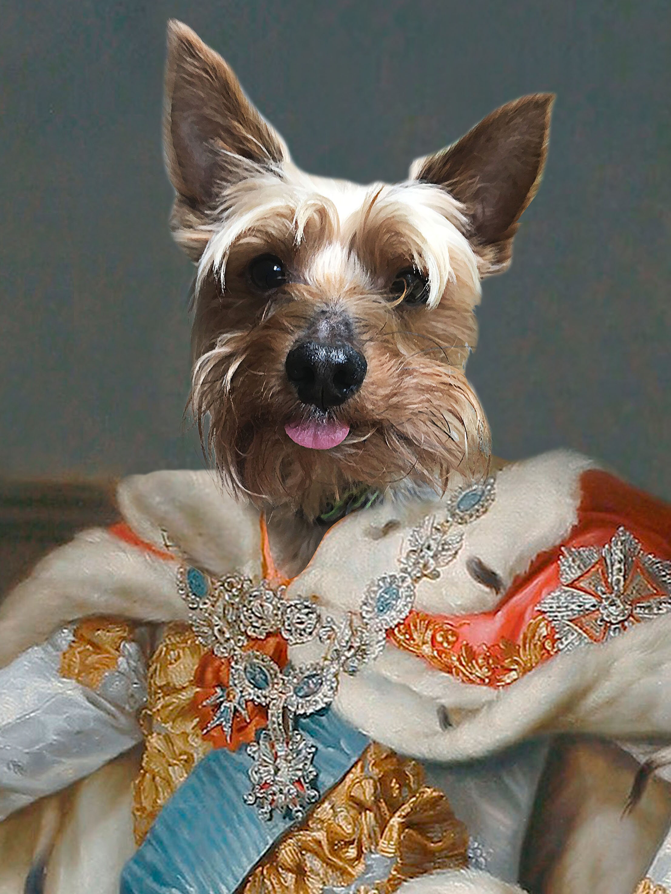 Fancy King: Customizable Portrait for Pets, Friends and Celebrities. - Etsy