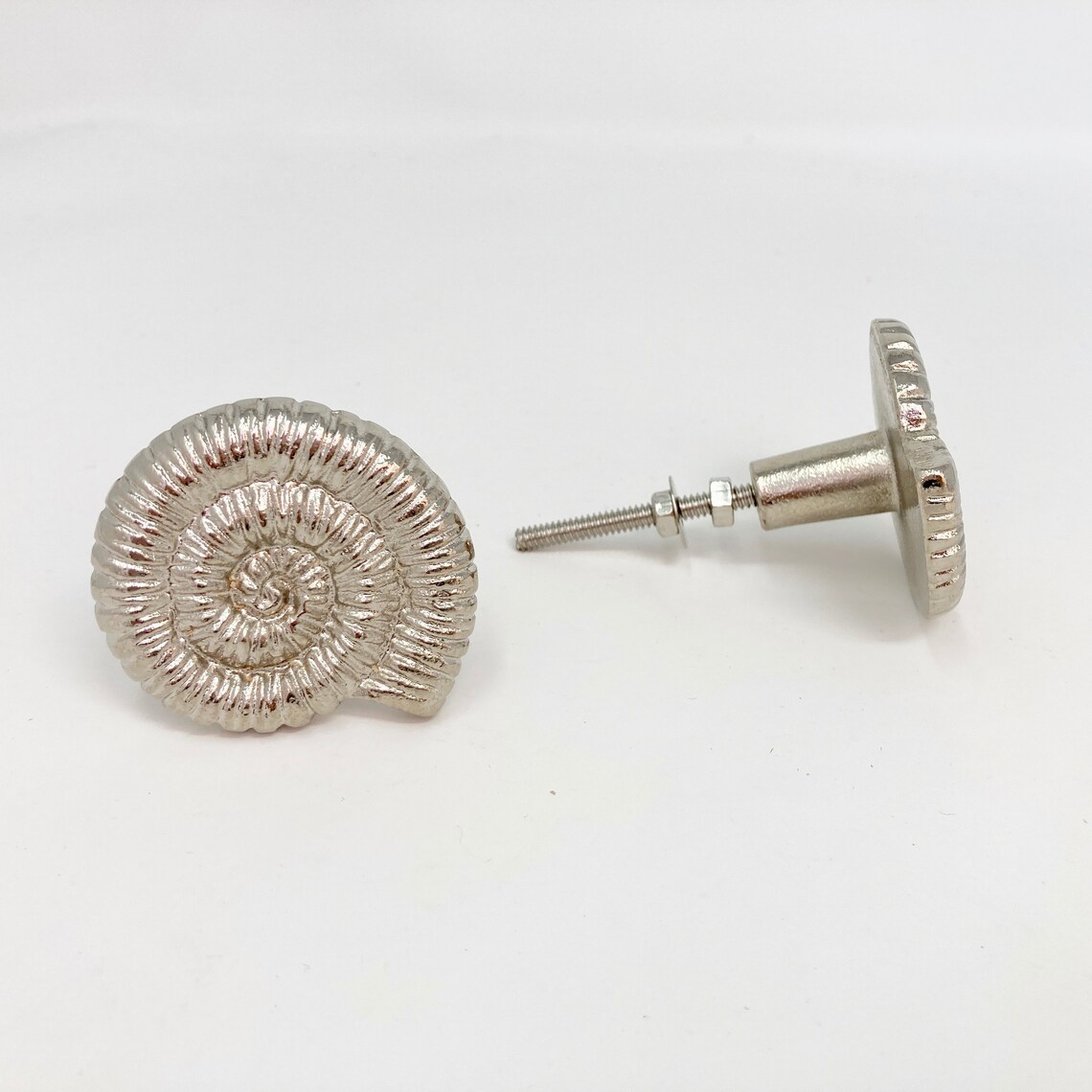 Silver Shell Knob | Handle Kitchen Cupboard Home Bathroom Hallway ...