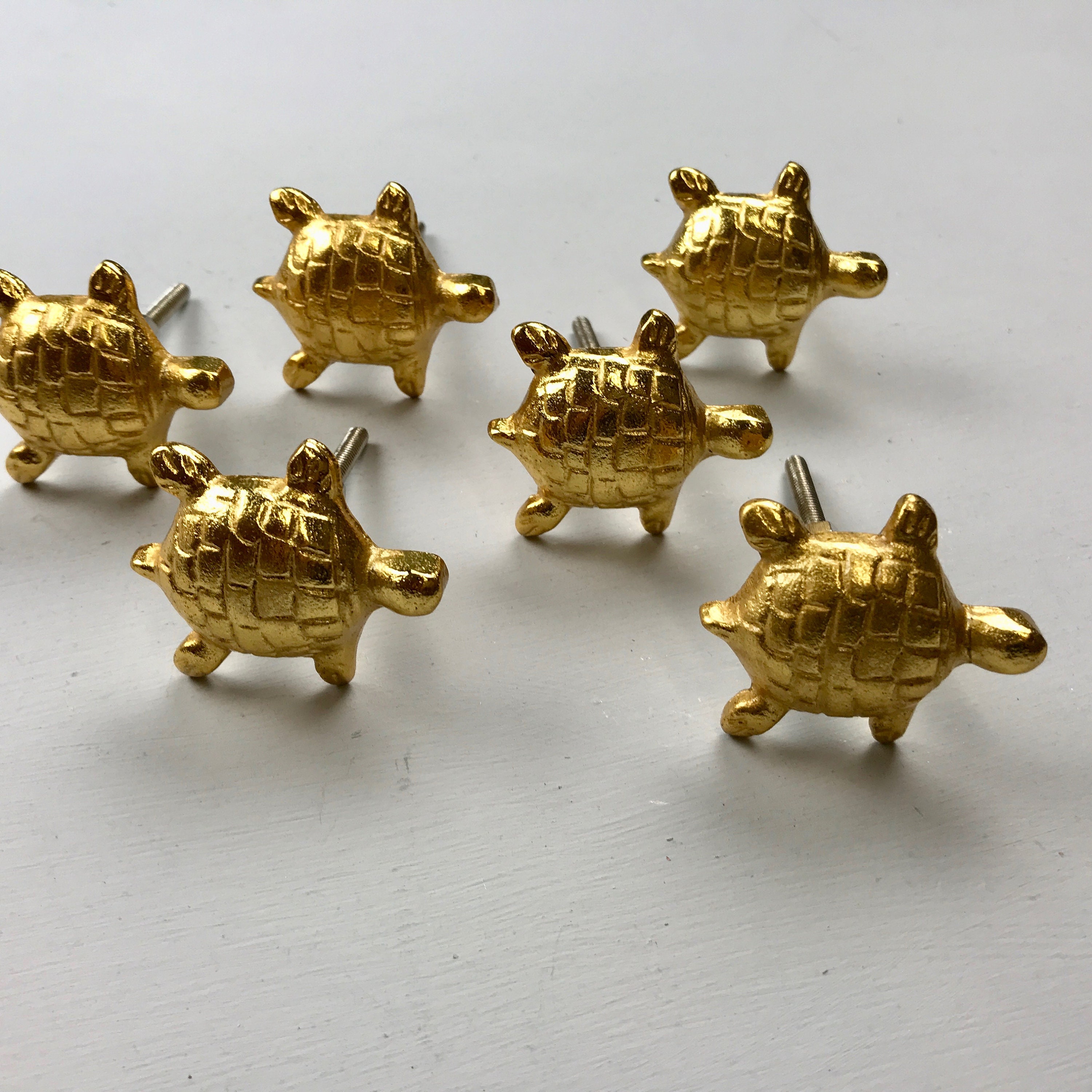 Gold Turtle Tortoise Metal Knob Drawer Door Marine - Etsy UK