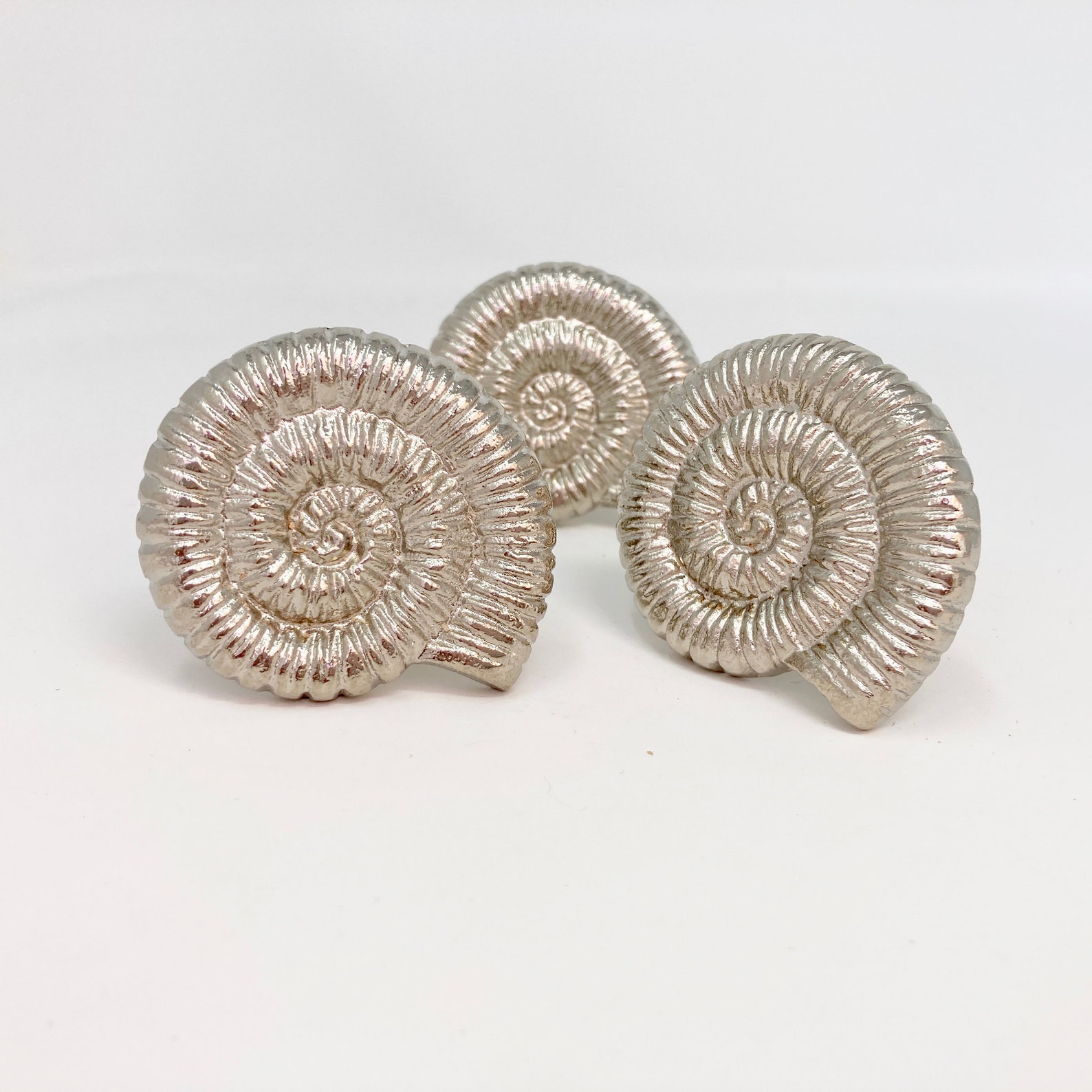 Silver Shell Knob | Handle Kitchen Cupboard Home Bathroom Hallway ...