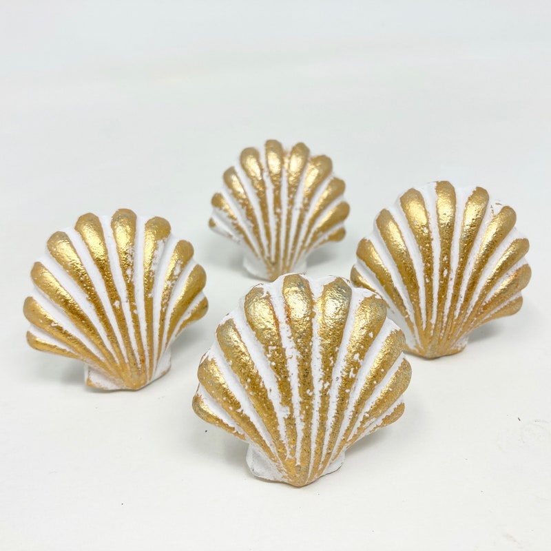 Seashell Knobs - Etsy