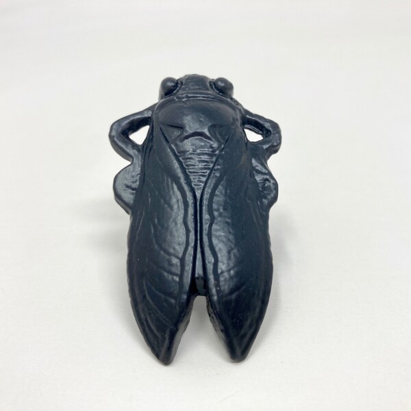 Insect Drawer Knobs - Etsy