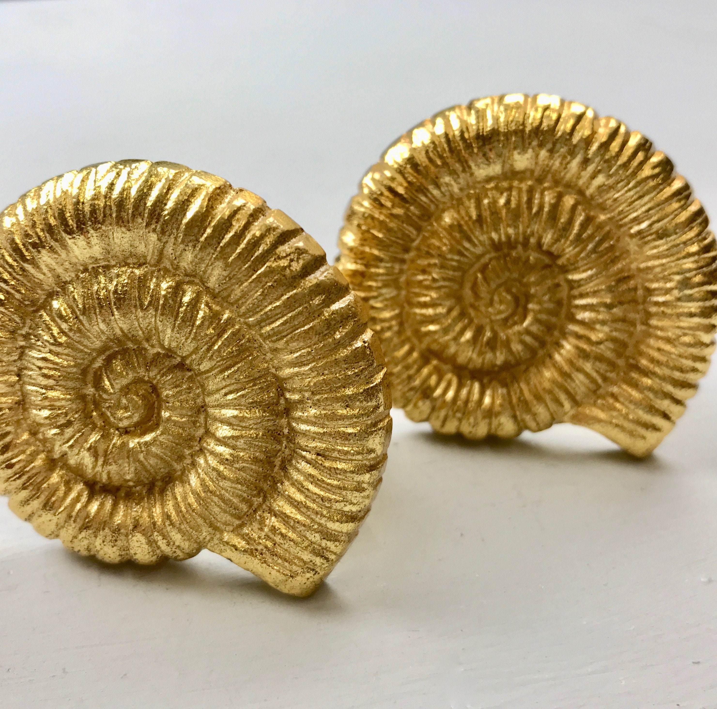 Gold Shell Knob Metal Knob Drawer Pull Bathroom Cabinet Dresser - Etsy