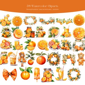 Watercolor Oranges Clipart PNG, Watercolor Sublimation Oranges Clipart ...
