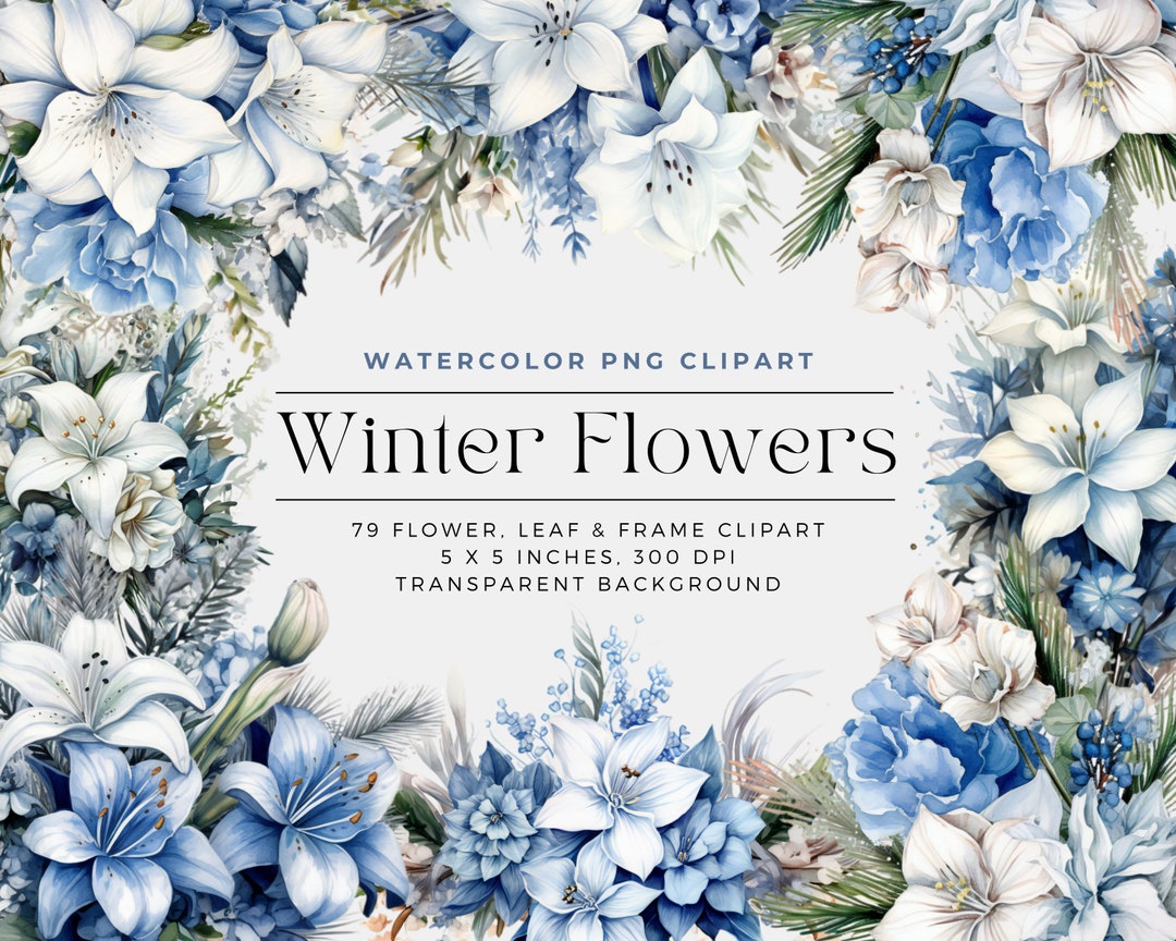 Winter Flowers PNG, Winter Bouquets, Watercolor Floral Clipart Bouquets ...