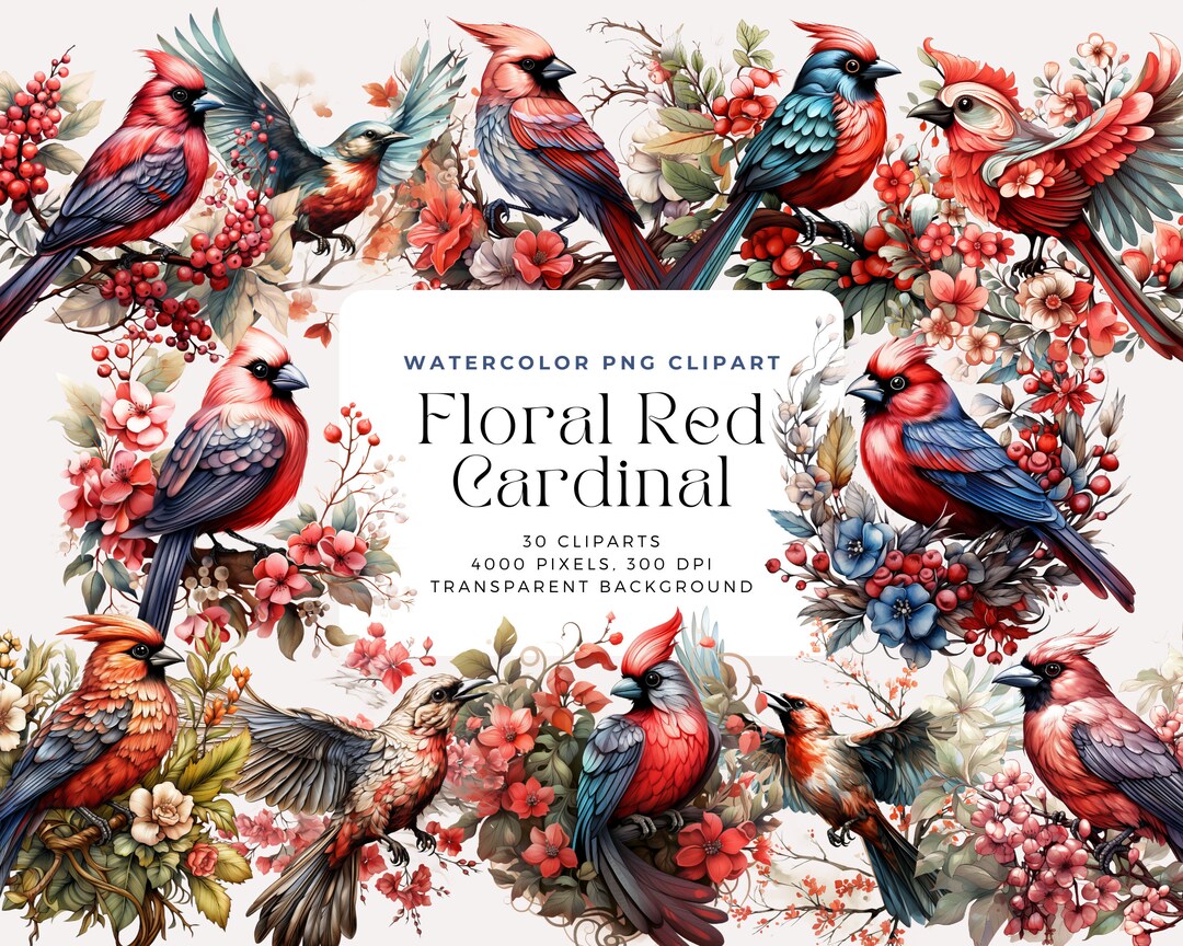 Watercolor Floral Red Cardinal Clipart, Red Cardinal, Red Floral, Bird ...