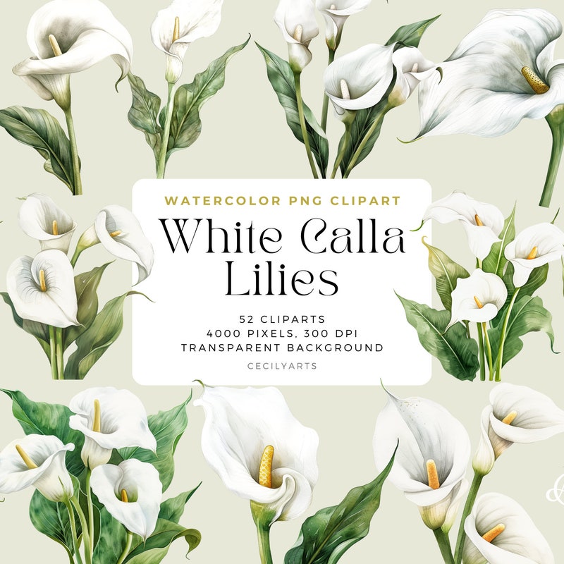 Calla Lily Stickers - Etsy