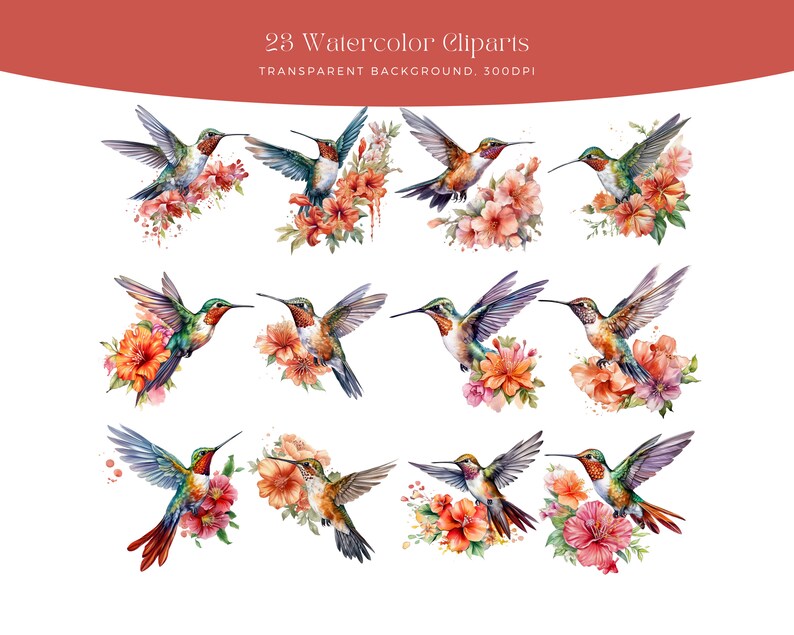 Watercolor Hummingbirds Clipart, Colorful Hummingbirds, Elements ...