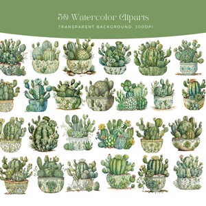 Watercolor Cactus Clipart, Succulent Clip Art PNG, Watercolor Cactus ...
