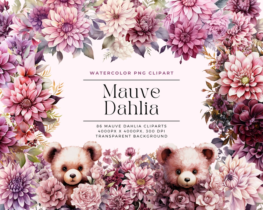 Mauve Pink Dahlia Flowers PNG, Dahlia Bouquets, Watercolor Floral ...