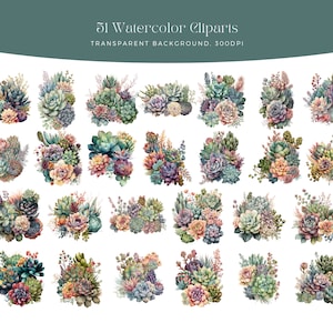 Bright Succulent Flowers PNG, Watercolor Floral Clipart Bouquets ...