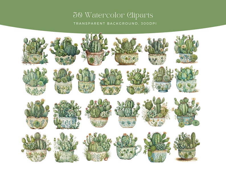 Watercolor Cactus Clipart Succulent Clip Art PNG Watercolor - Etsy