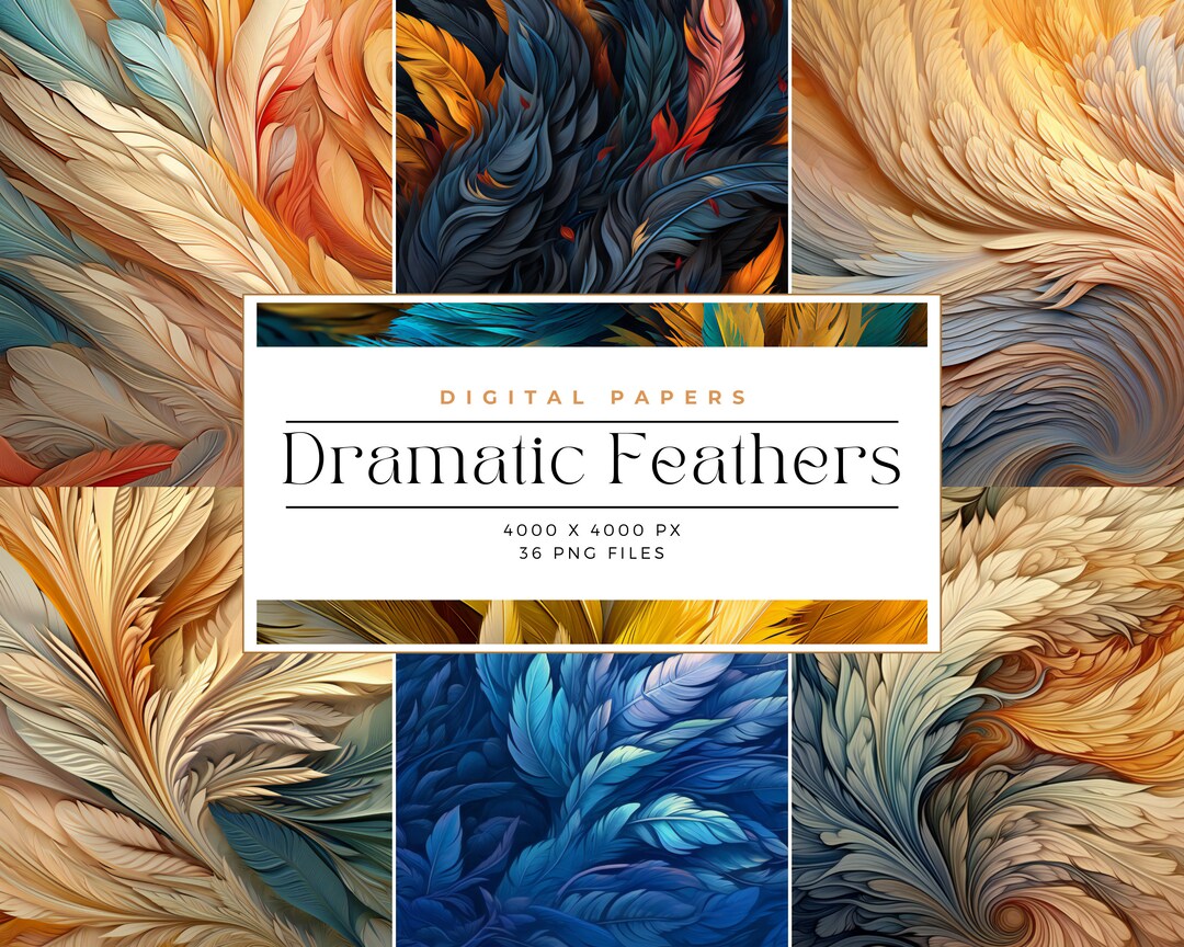 Colorful Feather Digital Paper Feathers Digital Paper - Etsy