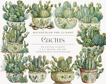 Watercolor Cactus Clipart, Succulent Clip Art PNG, Watercolor Cactus ...