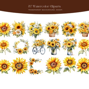 Sunflower and Daisies Flowers PNG, Watercolor Floral Clipart Bouquets ...