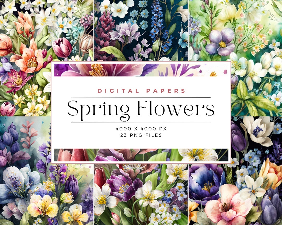 Spring Flower Backgrounds, Watercolor Art, Abstract Background ...